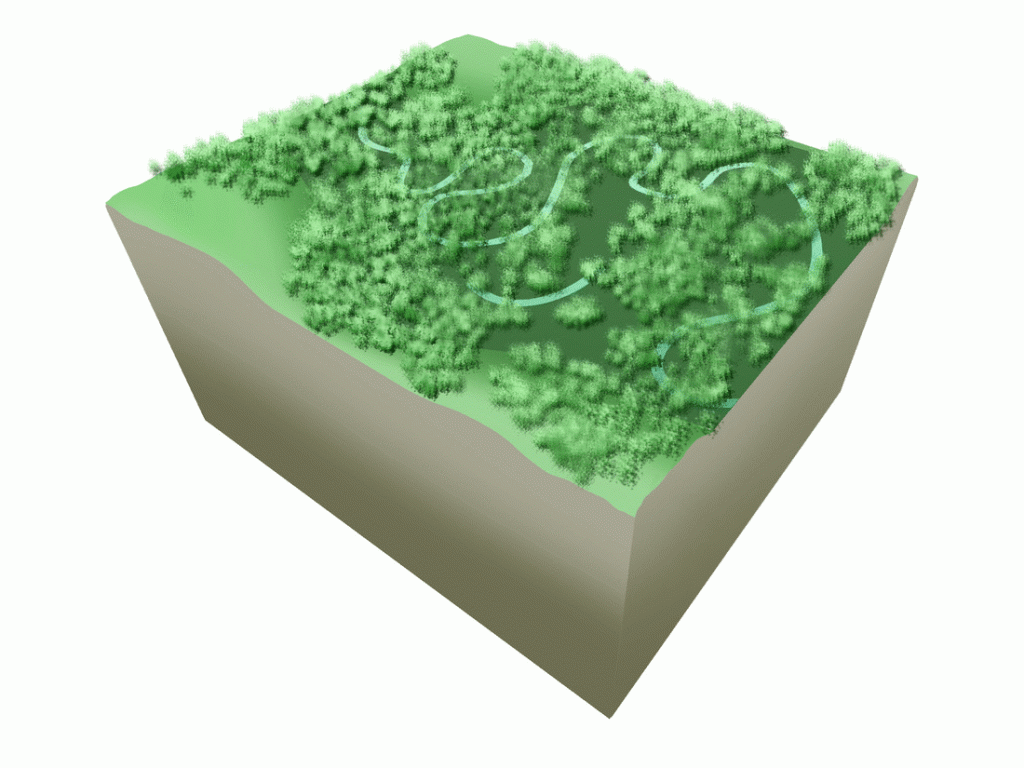 River morphology – how does river look like? - World Rivers River morphology – how does river look like? - World Rivers