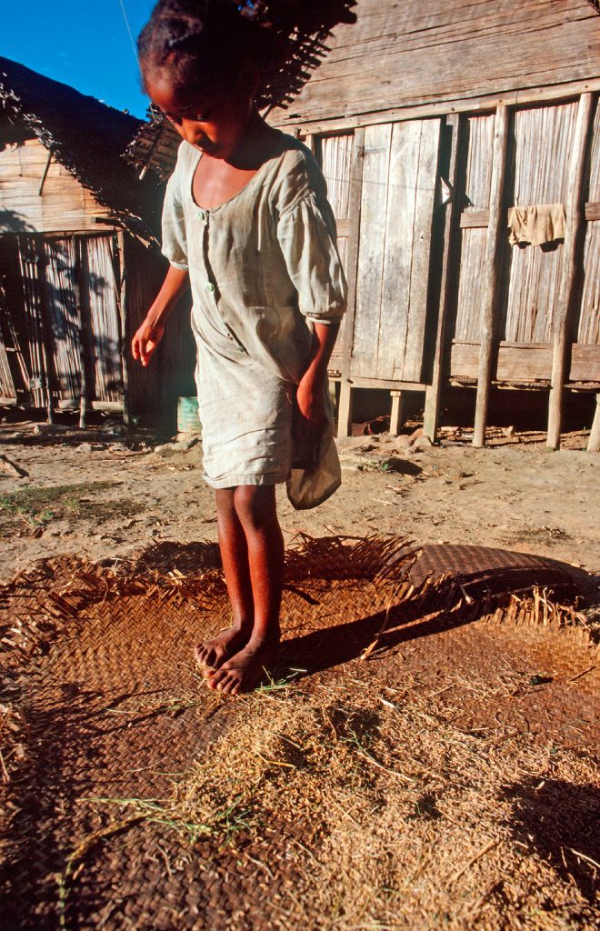 Mananara - a remote village in the jungle - World Rivers