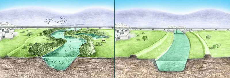 The adverse effects of the river regulation - World Rivers
