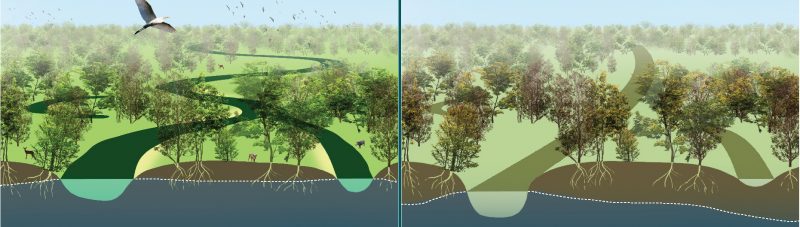 The adverse effects of the river regulation - World Rivers