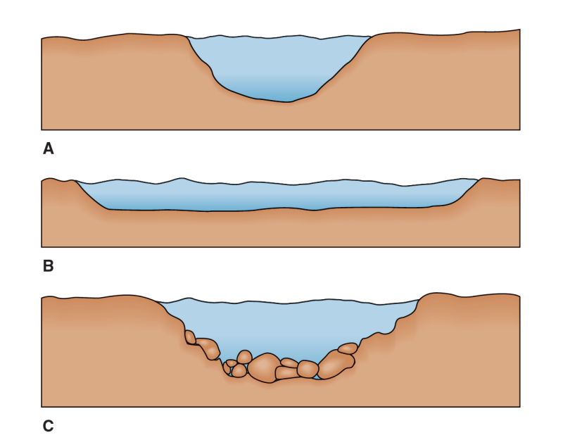 How fast are rivers? - World Rivers